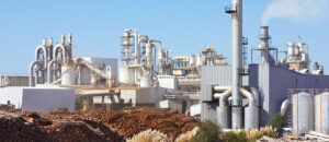 Xylanase - Enzymes | American Biosystems